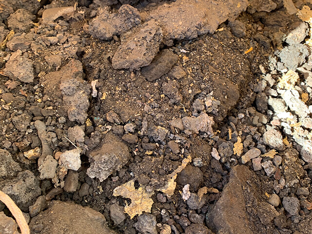 SCRAP METAL TRADING – THANH THANH LOGISTICS